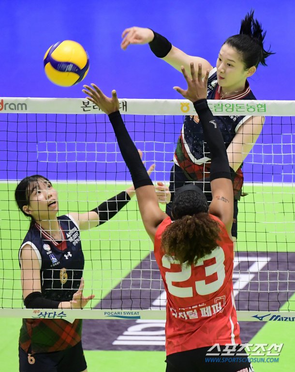 포토 이다현 반박자 빠른 속공 네이트 스포츠