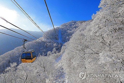 설경 장관 이룬 평창 발왕산 네이트 뉴스