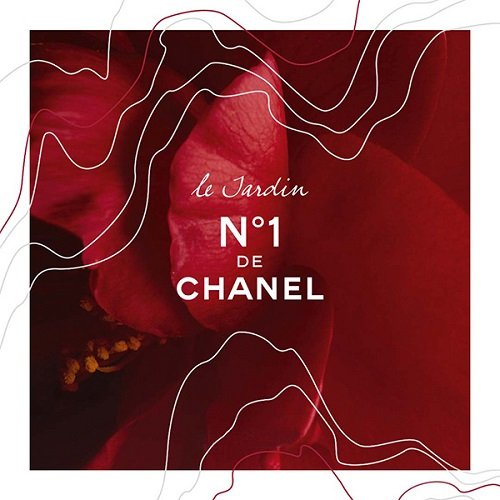 샤넬, 'N°1 DE CHANEL GARDEN' 선보여 : 네이트 뉴스