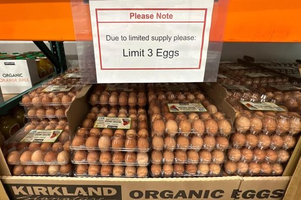 US imports eggs from S. Korea for first time to help relieve severe ...
