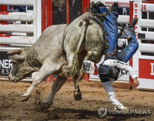 Stampede Rodeo : 네이트 뉴스