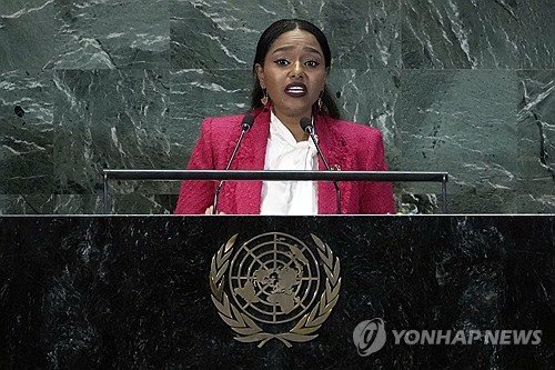 UN Sustainable Development Forum : 네이트 뉴스
