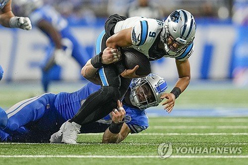 Panthers Lions Football : 네이트 뉴스