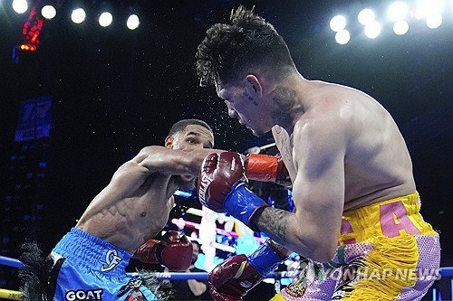 Ceballos Falcon Boxing : 네이트 뉴스