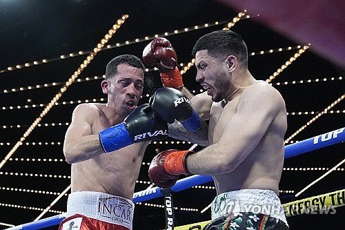 Chevalier Cortes Boxing : 네이트 뉴스