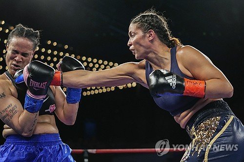 Rodriguez Cotton Boxing : 네이트 뉴스