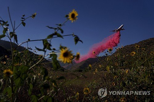 APTOPIX California Wildfire : 네이트 뉴스