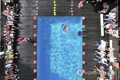 Germany Bomb Dive : 네이트 뉴스