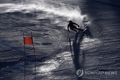 World Cup Downhill Skiing : 네이트 뉴스