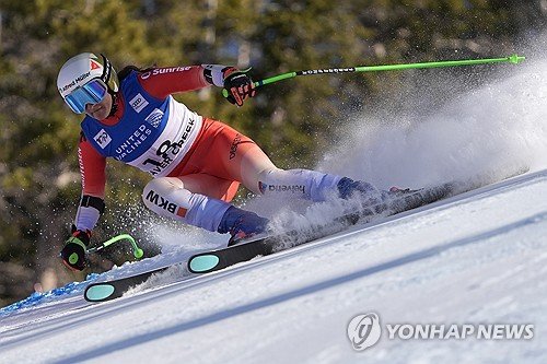 World Cup Downhill Skiing : 네이트 뉴스