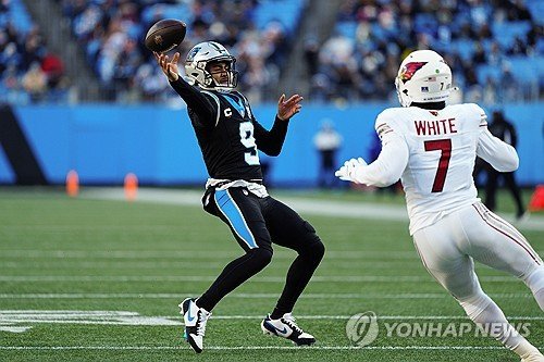 Cardinals Panthers Football : 네이트 뉴스