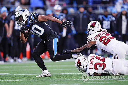 Cardinals Panthers Football : 네이트 뉴스