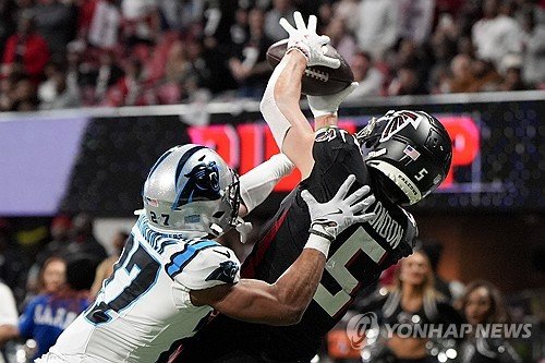Panthers Falcons Football : 네이트 뉴스