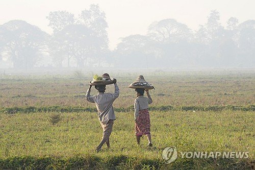 Myanmar Peasants Day : 네이트 뉴스