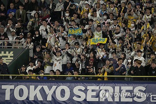 Japan Cubs Tigers Spring Baseball : 네이트 뉴스