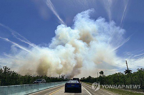 Florida Wildfires : 네이트 뉴스