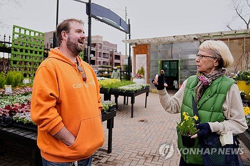 Trump Tariffs : 네이트 뉴스