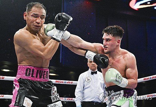 Guerrero Quintana Boxing : 네이트 뉴스