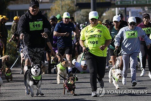 Bolivia Dog-a-thon : 네이트 뉴스