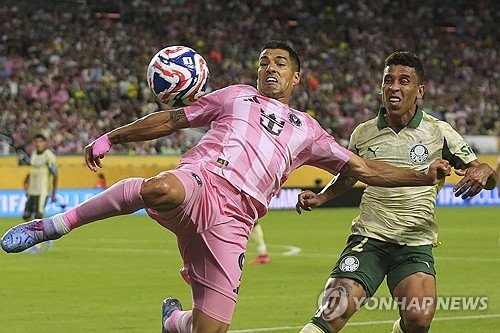APTOPIX CWC Inter Miami Palmeiras Soccer : 네이트 뉴스