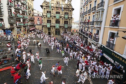 Spain Running of the Bulls : 네이트 뉴스