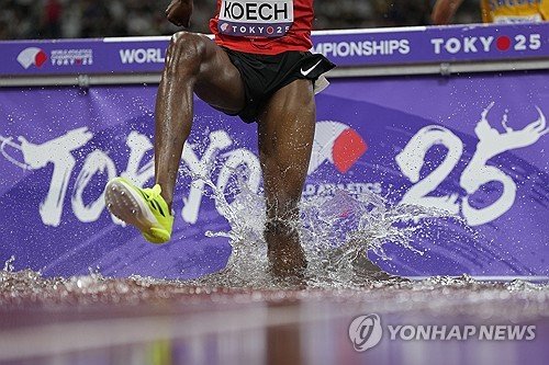 Japan Athletics Worlds : 네이트 뉴스