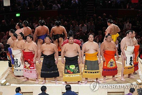 Britain Grand Sumo : 네이트 뉴스