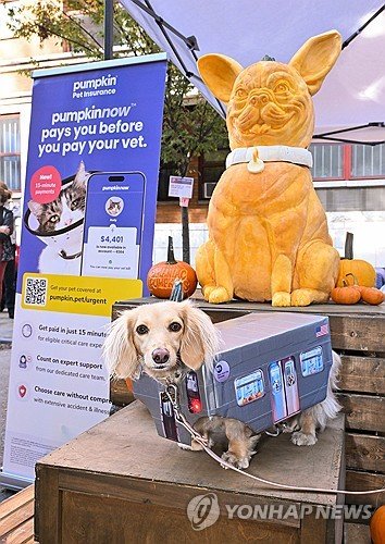Pumpkin Pet Insurance x Tompkins Square Halloween Dog Parade in NYC ...