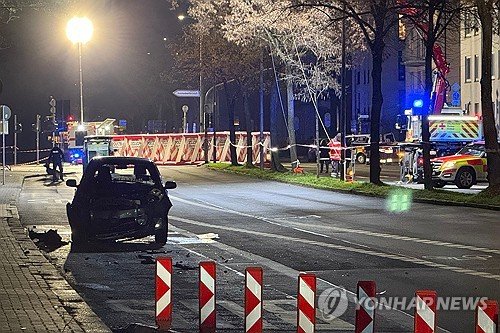 Germany Car Crash : 네이트 뉴스