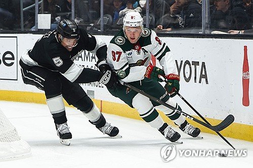 Wild Kings Hockey : 네이트 뉴스
