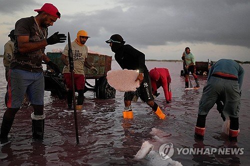 Venezuela Salt Flats : 네이트 뉴스