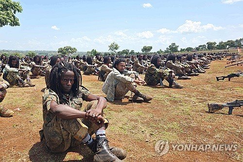 Ethiopia Oromo Conflict : 네이트 뉴스