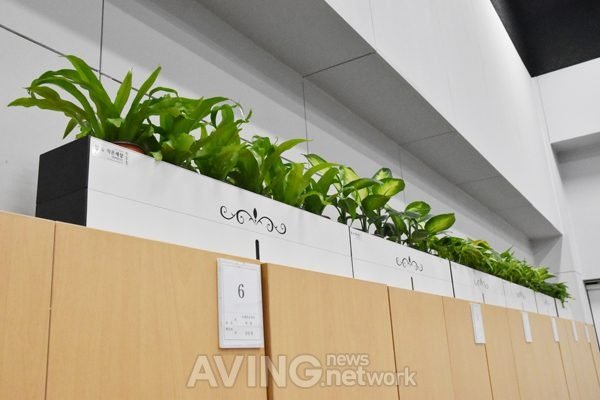 창&작은세상, 미세먼지 대비 '일체형 사무실화분' 부산시설공단 부산유라시아플렛폼 시범 설치 : 네이트 뉴스