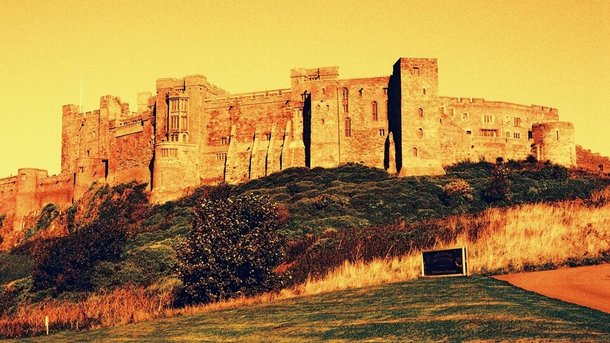 세기P&C, 하만포토 'HARMAN RED 125' 필름 글로벌 론칭! : 네이트 뉴스