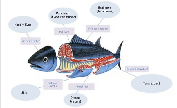 Dongwon eyes a new frontier: the tuna heart : 네이트 뉴스