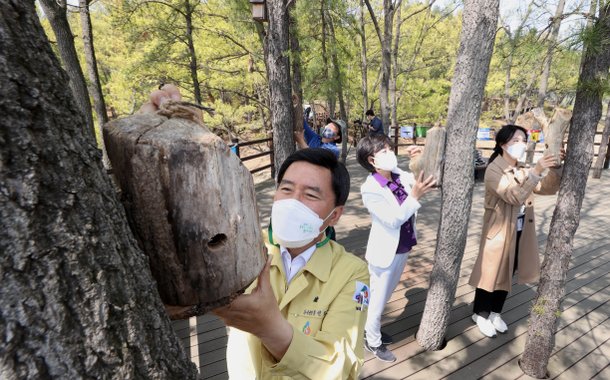 대청호 새 둥지 설치…아름다운 걷기 환경 조성 : 네이트 뉴스