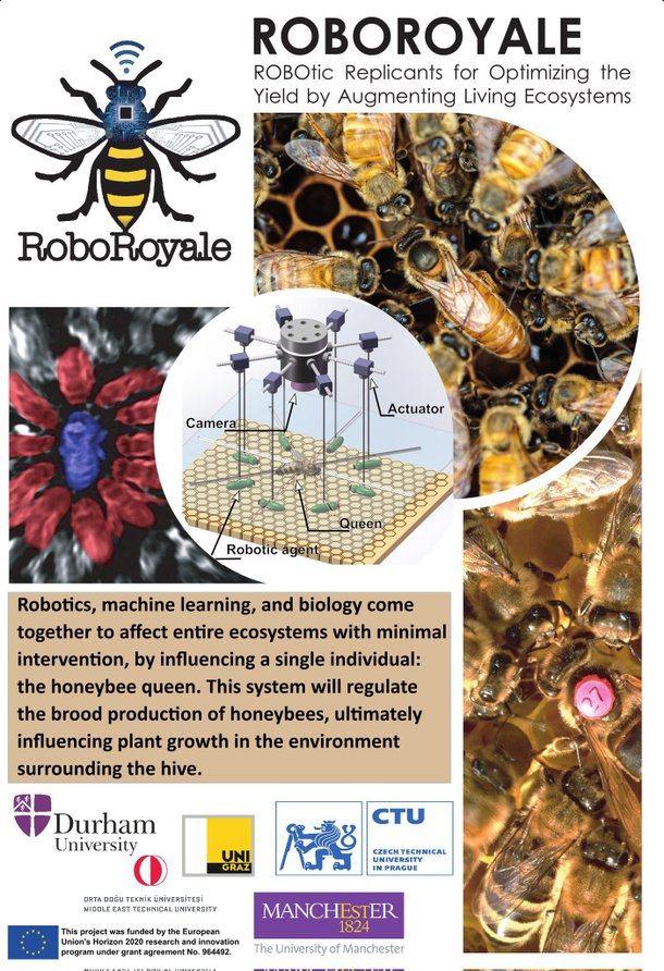 [사이언스카페] 기후변화로 길어진 가을, 꿀벌 과로사 부추긴다 : 네이트 뉴스