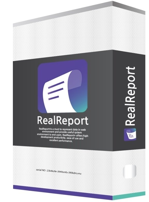 [2023 IT혁신상품] 우리테크 'Real Report'…"전용서버 필요없어 비용 획기적 절감" : 네이트 뉴스