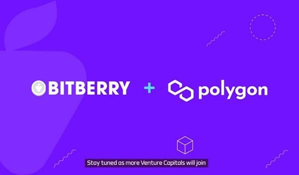 비트베리(Bitberry), 폴리곤(Polygon) 파트너쉽 발표 : 네이트 뉴스