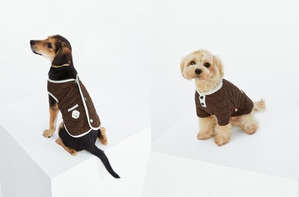 BYC, '24 FW 개리야스' 신제품 출시 : 네이트 뉴스