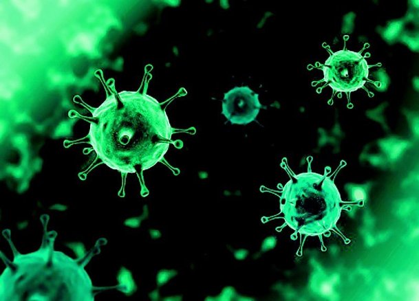 KAIST "유전자 가위로 코로나 바이러스 싹둑…증식 99.9% 억제" : 네이트 뉴스