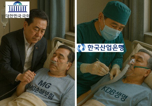 [보험직썰] 국회는 MG손보 연명치료, 산은은 KDB 심폐소생 : 네이트 뉴스