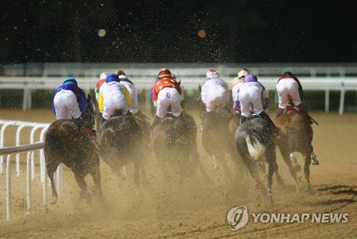 UAE HORSE RACING DUBAI WORLD CUP 2019 : 네이트 뉴스