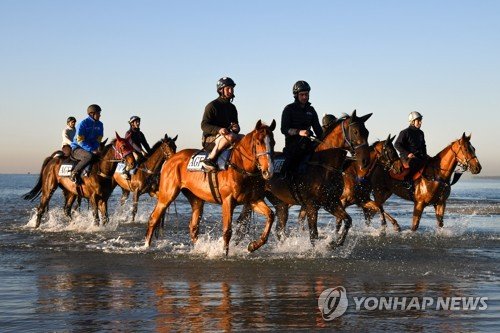 AUSTRALIA HORSE RACING : 네이트 뉴스