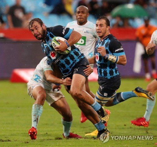 SOUTH AFRICA SUPER RUGBY : 네이트 뉴스