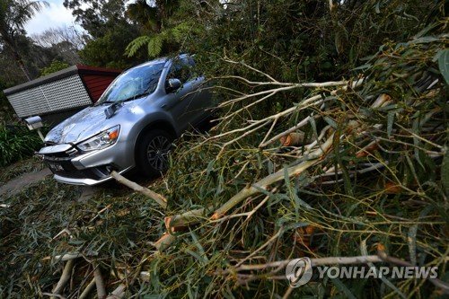 AUSTRALIA VICTORIA STORM DAMAGE : 네이트 뉴스