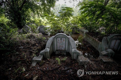 THAILAND CHINESE CEMETERY : 네이트 뉴스