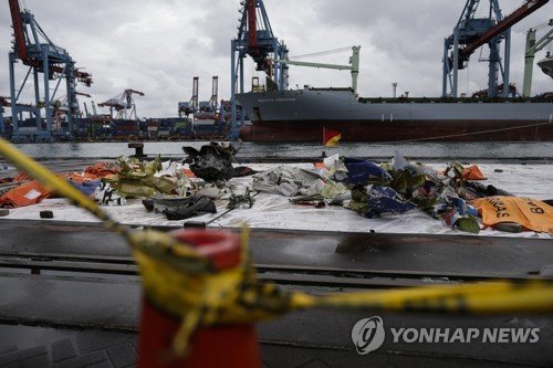 INDONESIA AIR PLANE CRASH : 네이트 뉴스