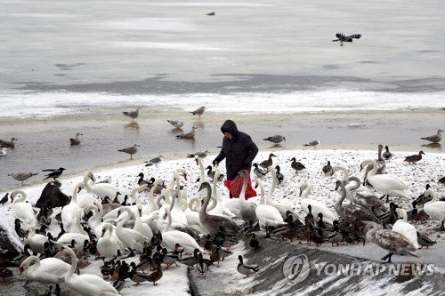LATVIA WEATHER : 네이트 뉴스