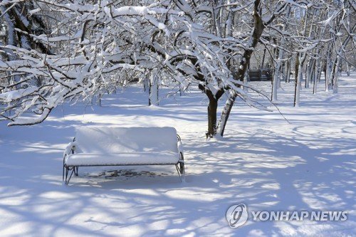 ROMANIA COLD WEATHER : 네이트 뉴스